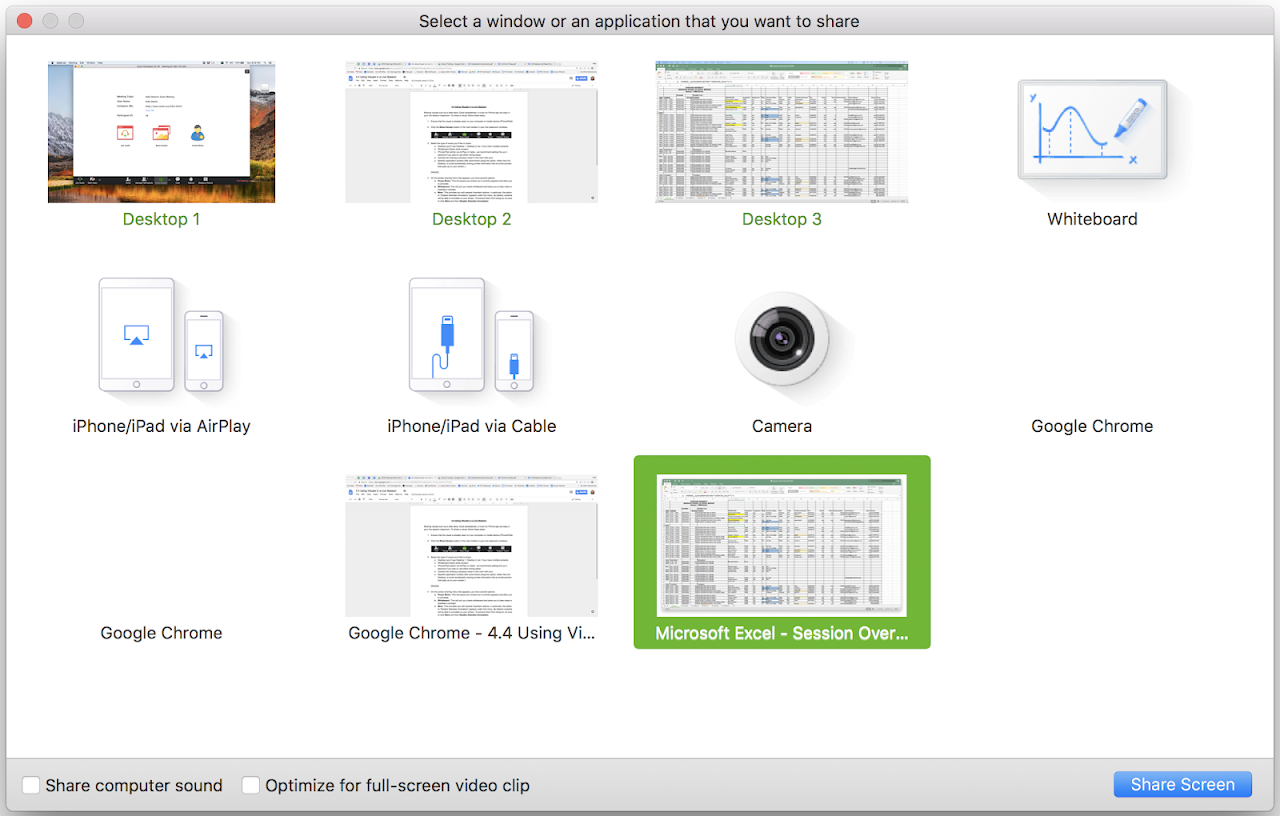 How to Share Visuals Using Share Screen Feature in Zoom
