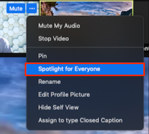 How to customize Zoom video layout
