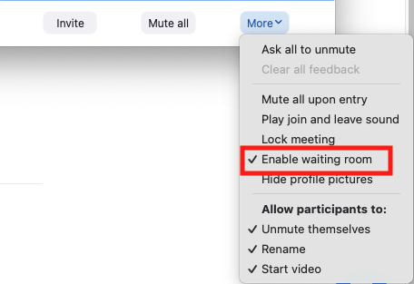 Using the Zoom Waiting Room