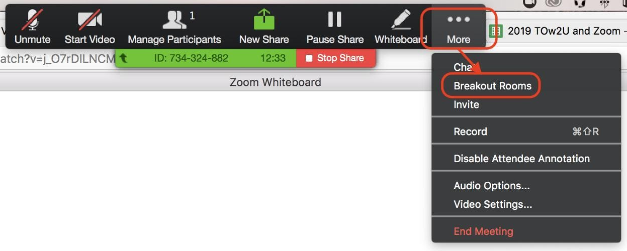 Using Breakout Rooms in Zoom