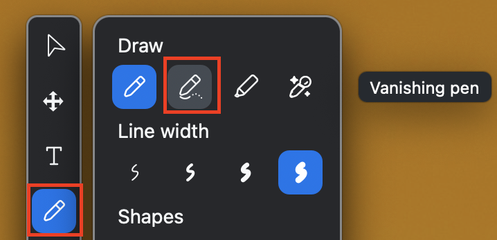Using Zoom's Vanishing Pen