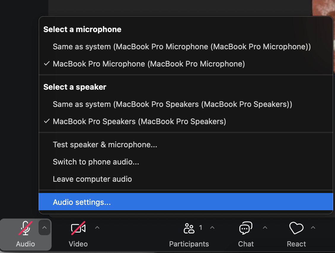 Using Attendee Controls in a Zoom Meeting