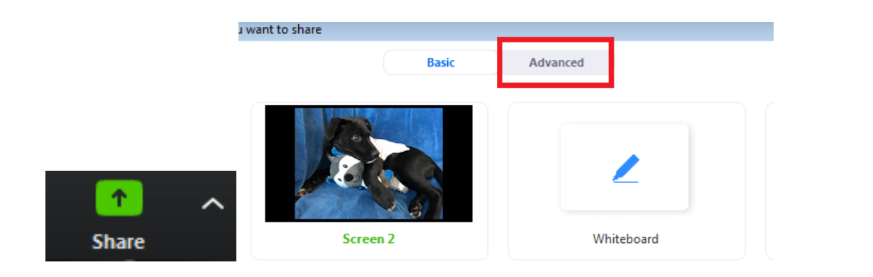 Sharing an External Camera on Zoom