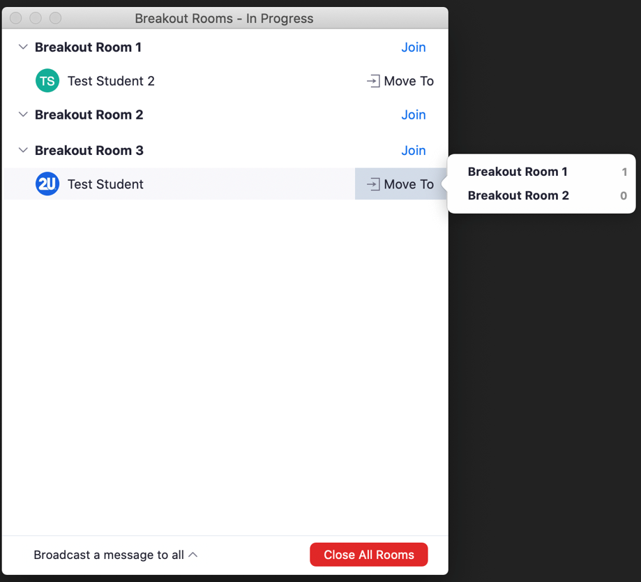 Using Zoom Breakout Rooms