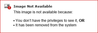 Accessing the Digital Campus